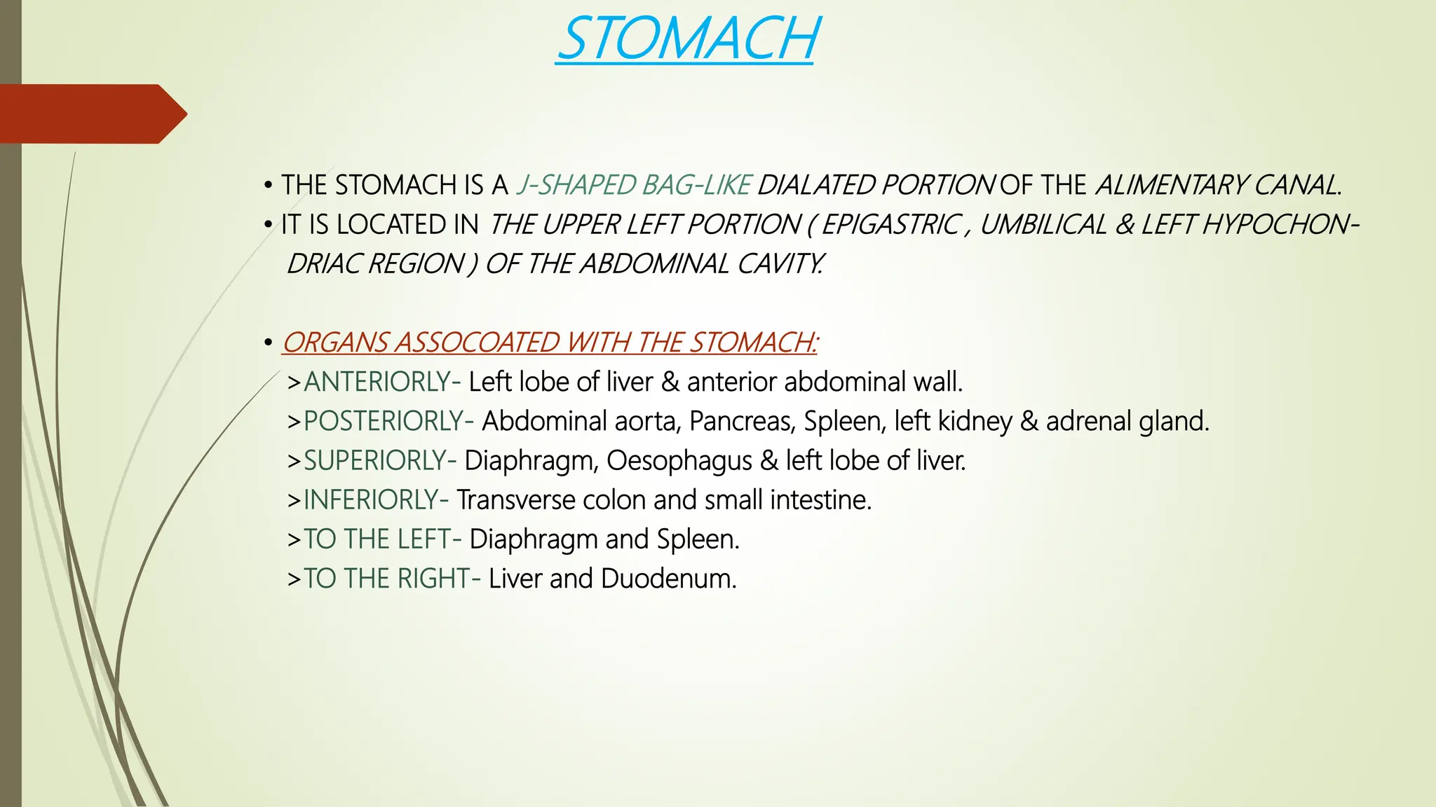 gastrointestinaltractgit-220817021937-805e8aa3.pdf