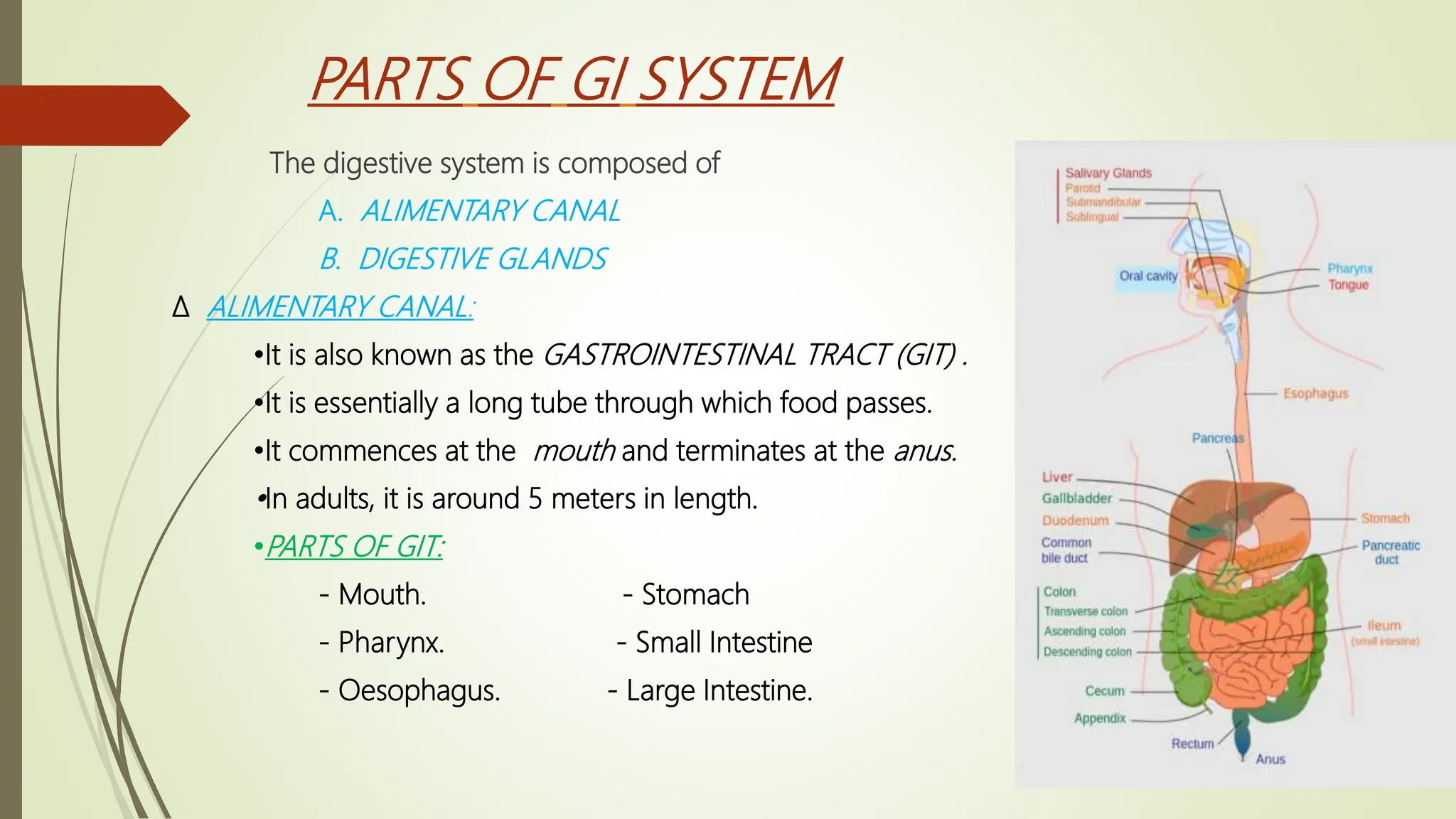gastrointestinaltractgit-220817021937-805e8aa3.pdf