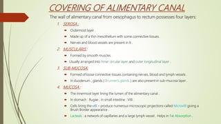 gastrointestinaltractgit-220817021937-805e8aa3.pdf