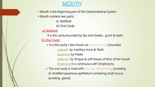 gastrointestinaltractgit-220817021937-805e8aa3.pdf