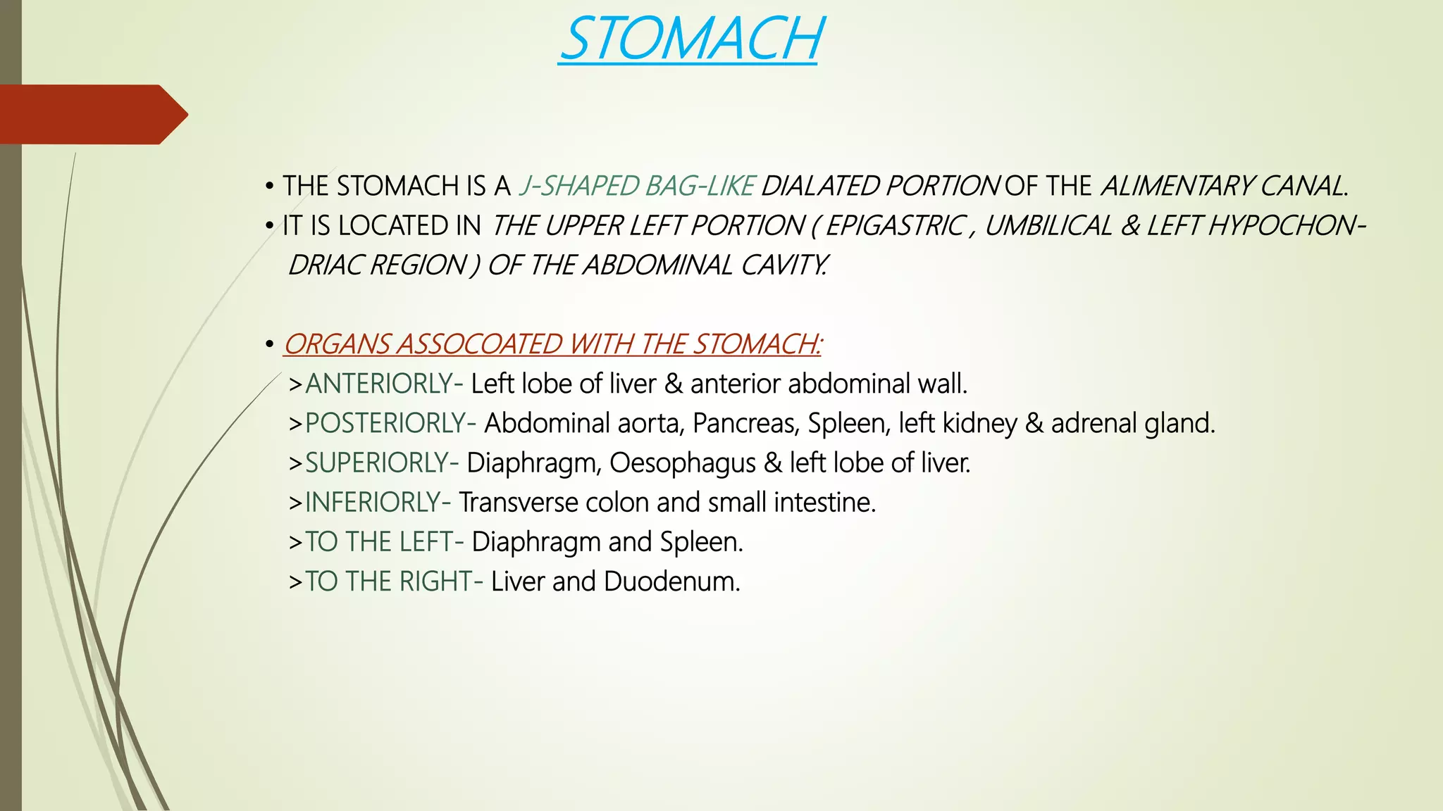 Gastrointestinal Tract (GIT)//DIGESTIVE SYSTEM | PPTX