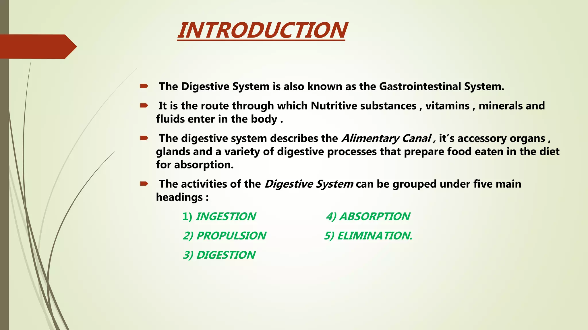 Gastrointestinal Tract (GIT)//DIGESTIVE SYSTEM | PPTX