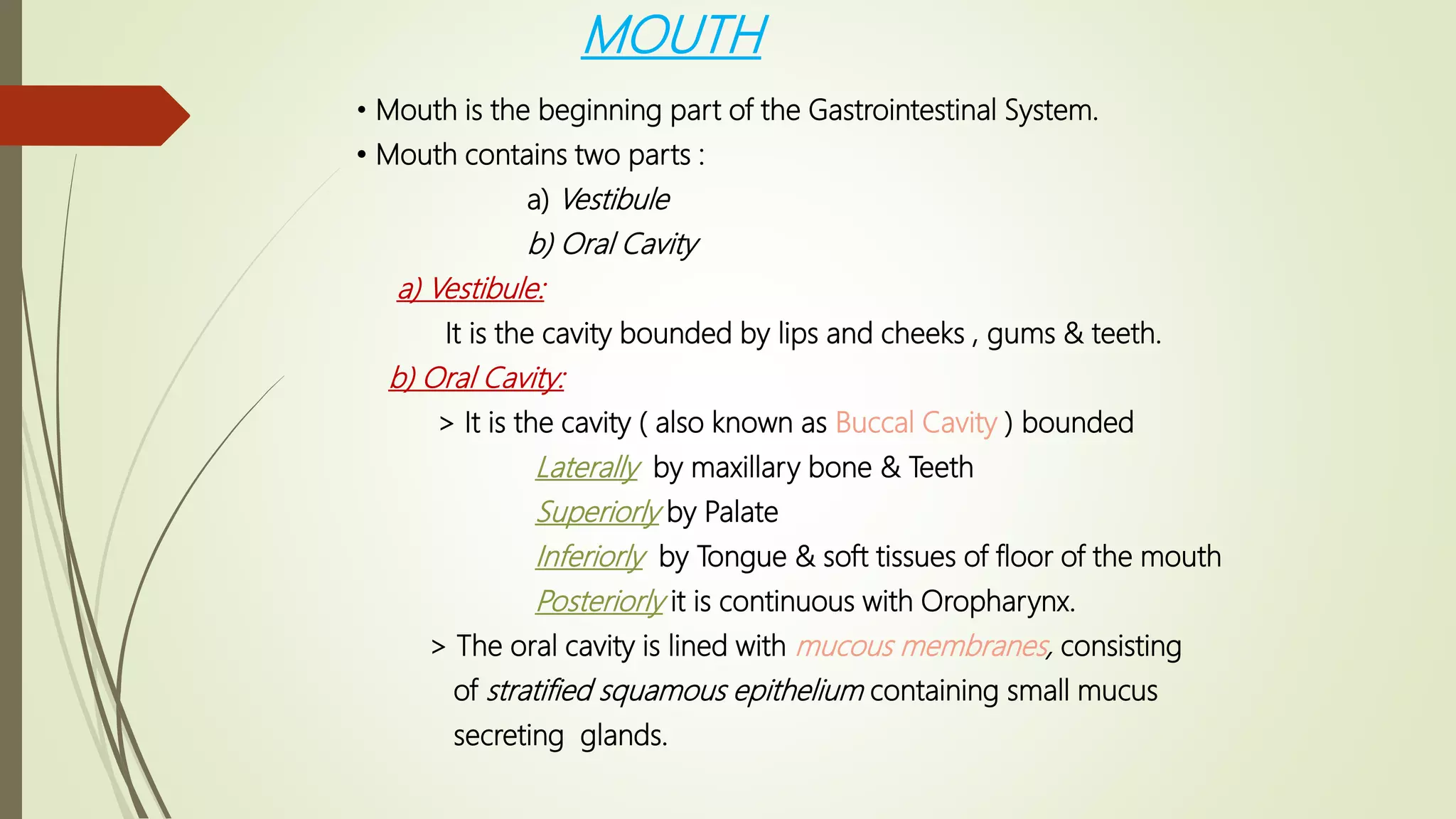 Gastrointestinal Tract (GIT)//DIGESTIVE SYSTEM | PPTX