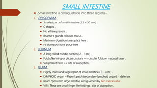Gastrointestinal Tract (GIT)//DIGESTIVE SYSTEM | PPTX