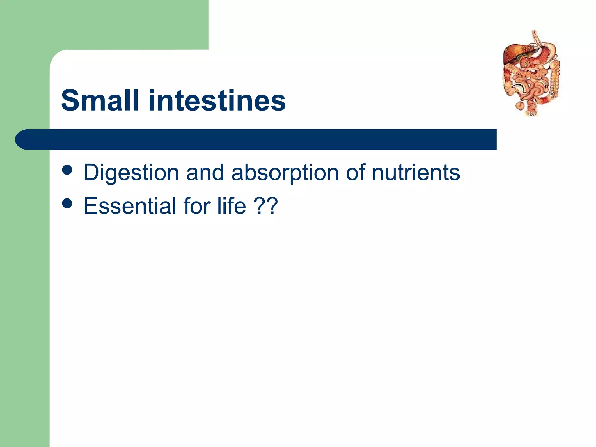 Introductory Gastro intestinal tract module | PPT