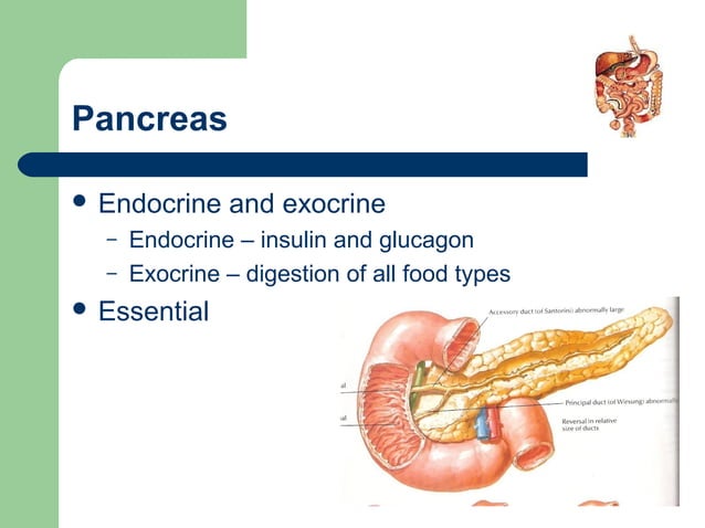 Introductory Gastro intestinal tract module | PPT