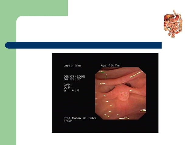 Introductory Gastro intestinal tract module | PPT