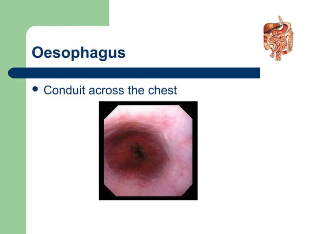 Introductory Gastro intestinal tract module | PPT