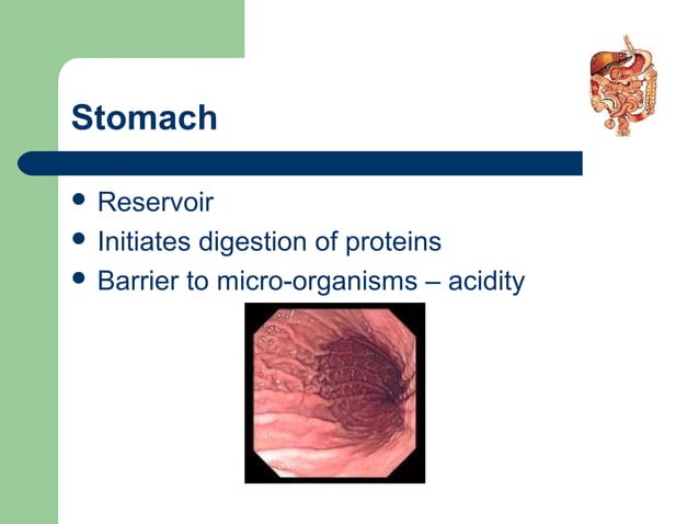 Introductory Gastro intestinal tract module | PPT