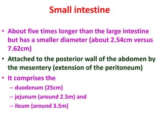 Gastro intestinal tract part 4 | PPTX
