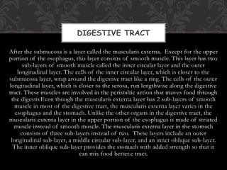 Gastrointestinal tract presentation | PPTX