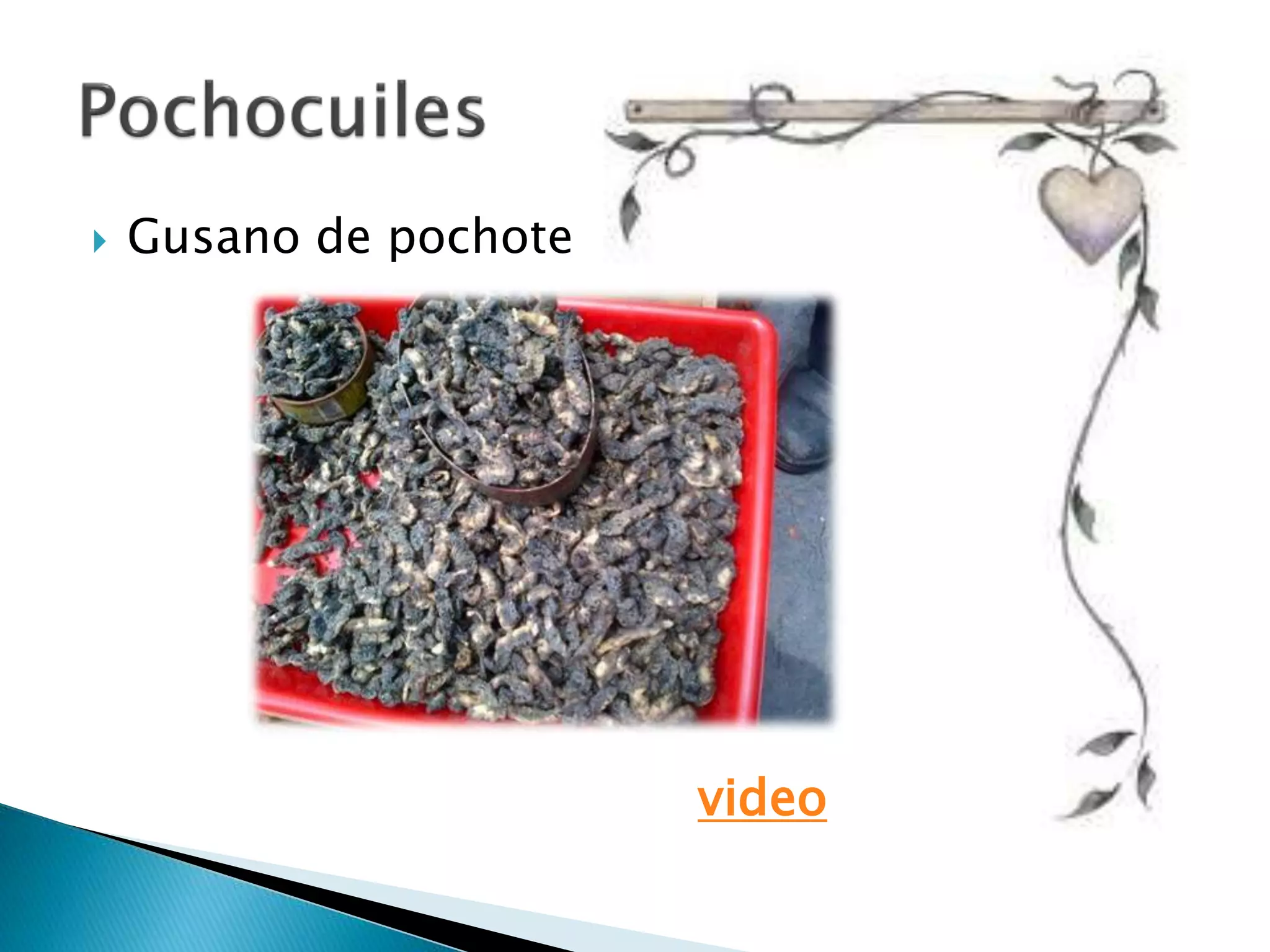 Gastronomia y traje tipico de ajalpan... | PPSX