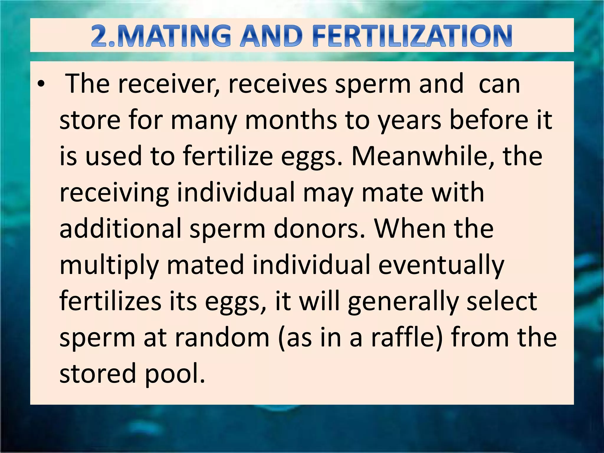 Gastropods reproductive system | PPTX