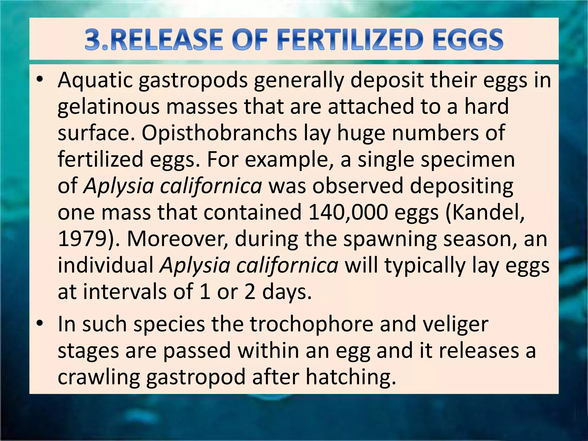 Gastropods reproductive system | PPTX