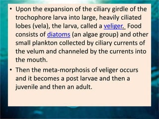 Gastropods reproductive system | PPTX