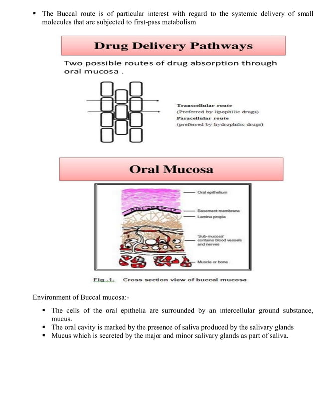 GASTRO RETENTIVE DRUG DELIVERY SYSTEM (GRDDS) | PDF | Digestive ...