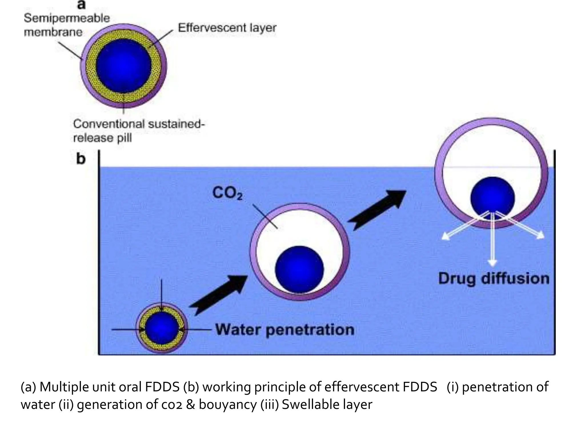 GASTRORETENTIVE DRUG DELIVERY SYSTEMS ppt.pptx
