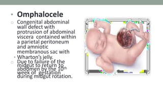 GASTROSCHISIS AND OMPHALOCELE.pptx