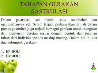 Gastrula | PPTX