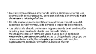 Gastrulación y neurulación embrionaria | PPTX