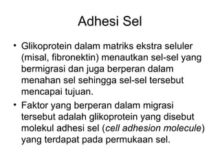 perkembangan embrio awal dua - gastrulasi | PPT