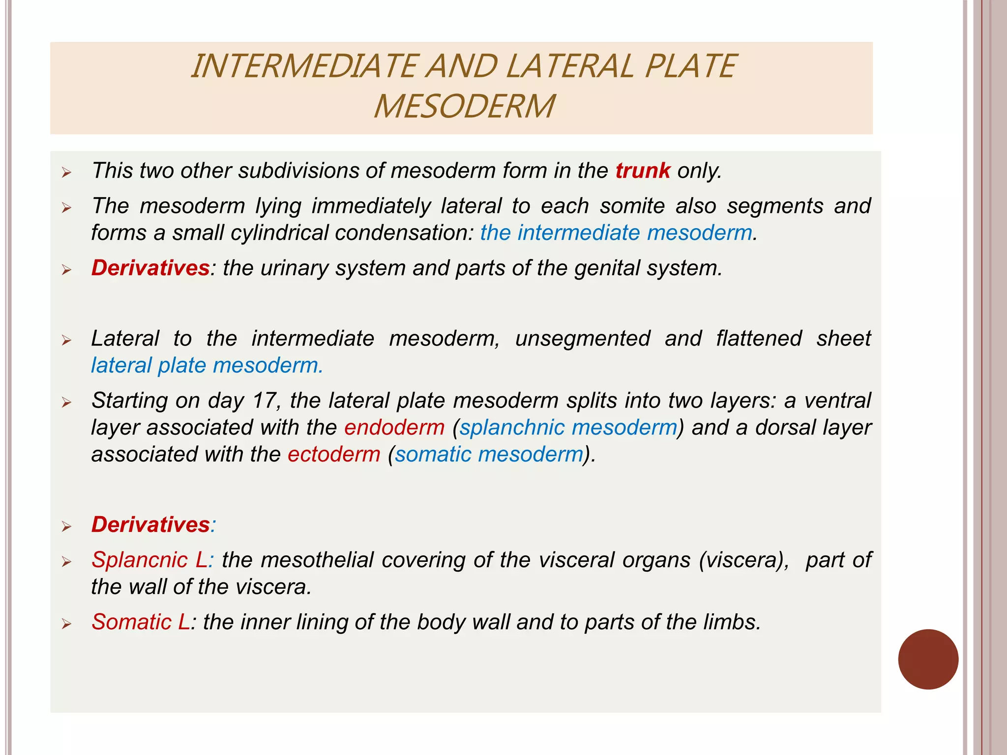 Gastrulation | PPTX