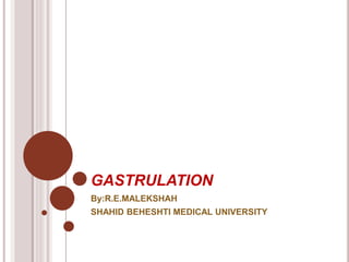 Gastrulation | PPTX