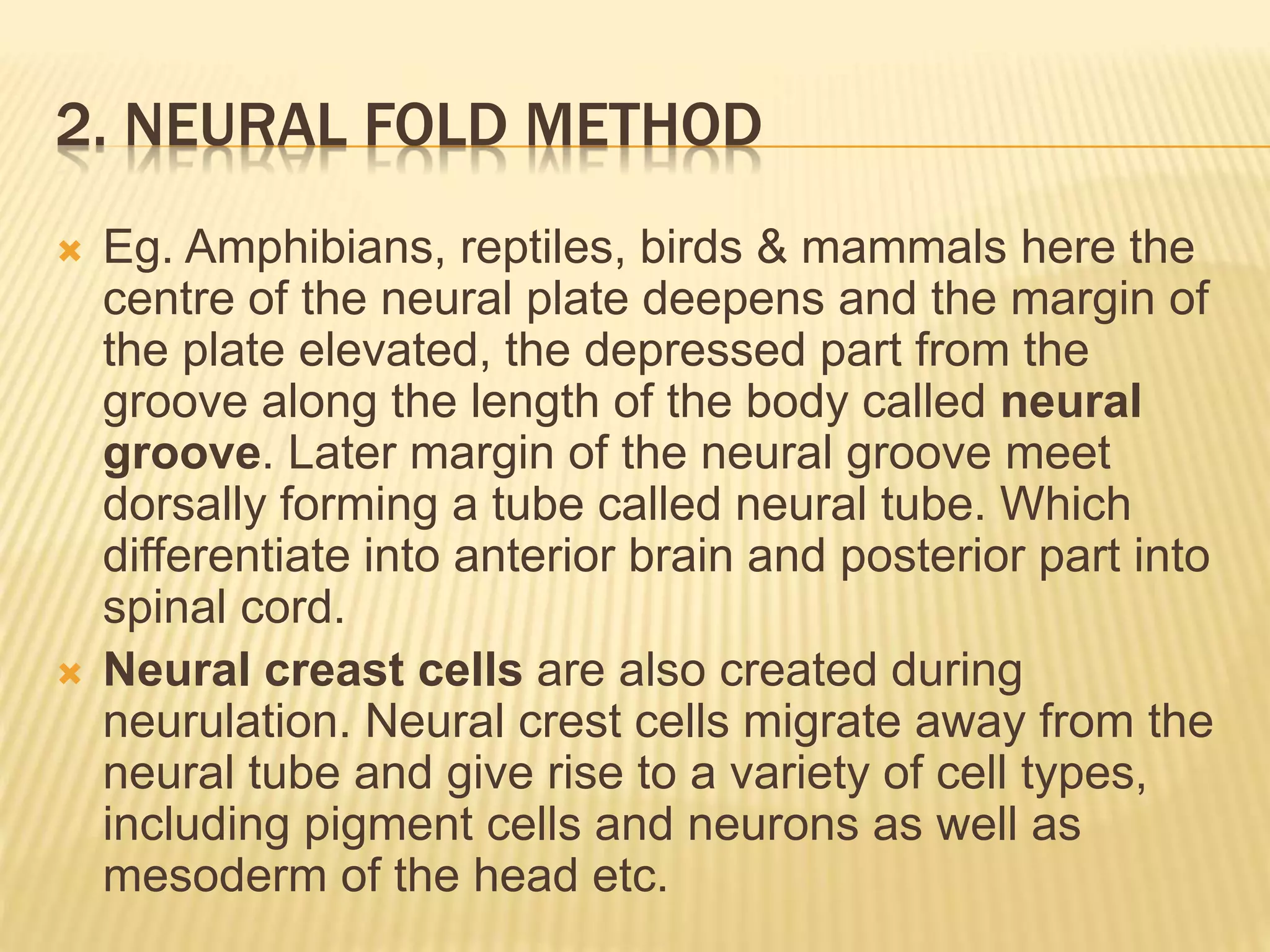 GASTRULATION final.pptx