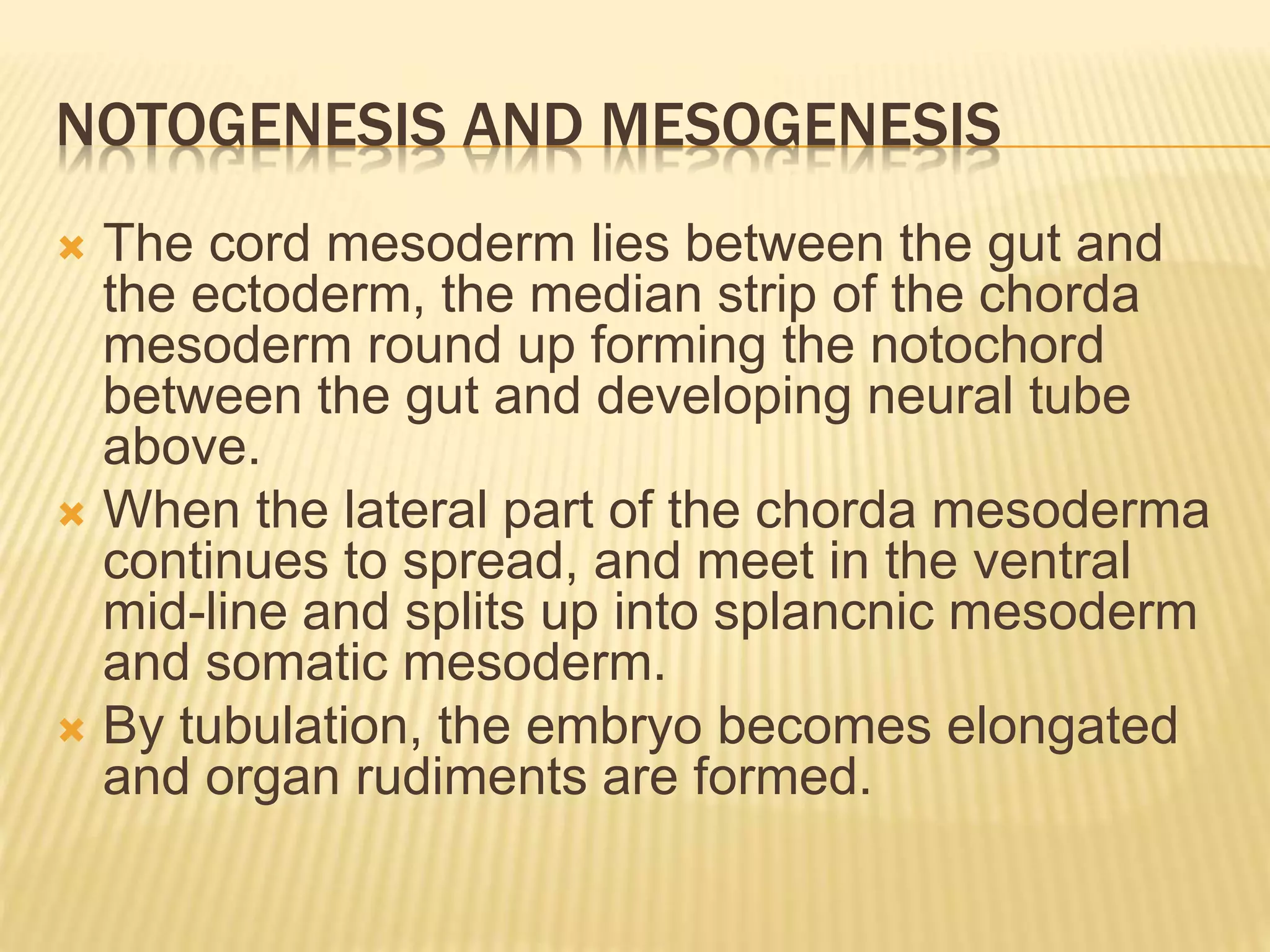 GASTRULATION final.pptx