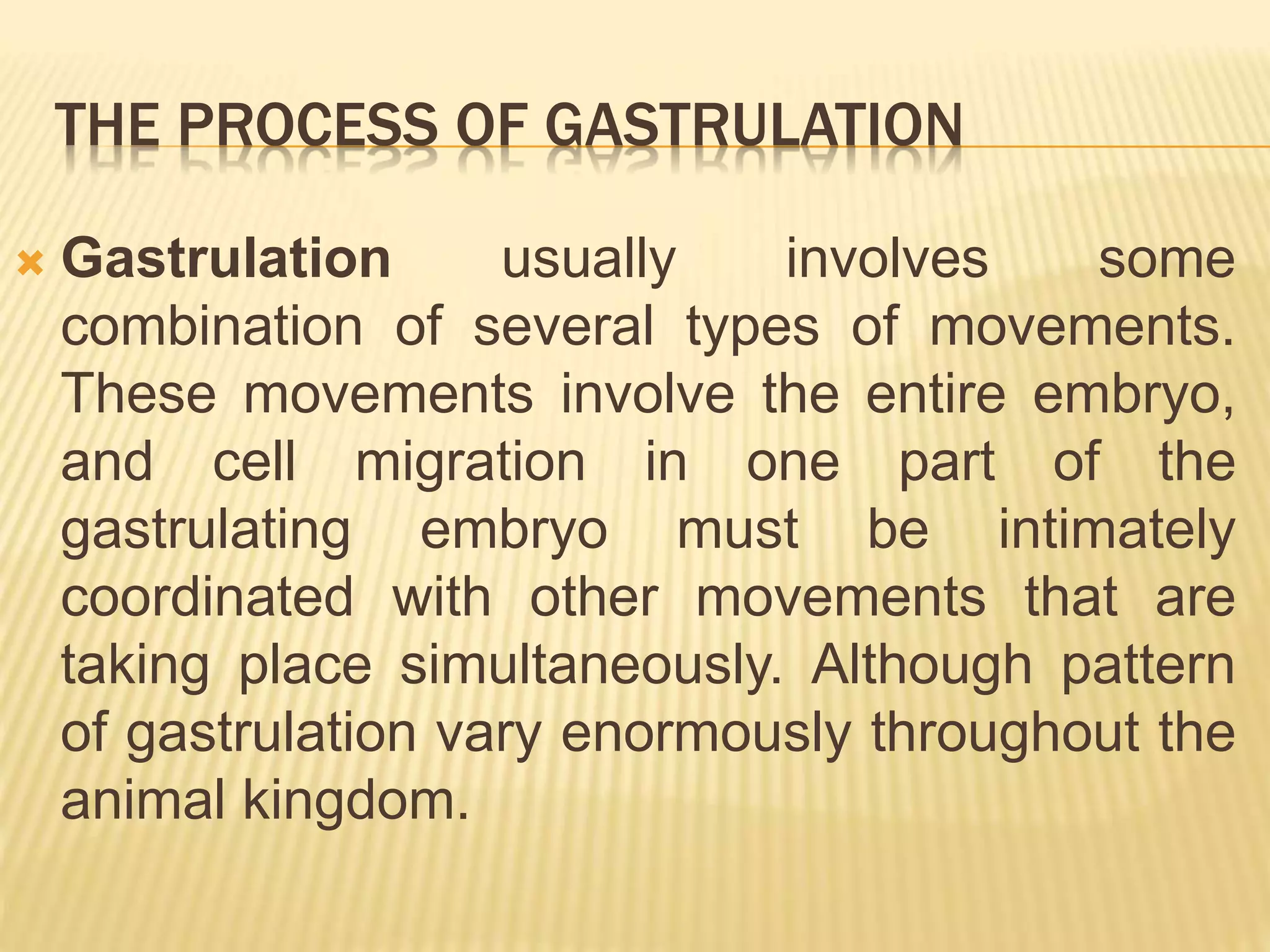 GASTRULATION final.pptx