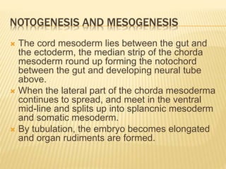 GASTRULATION final.pptx