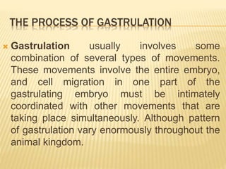 GASTRULATION final.pptx | Biological Sciences | Science