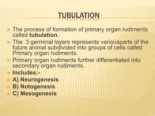 GASTRULATION final.pptx