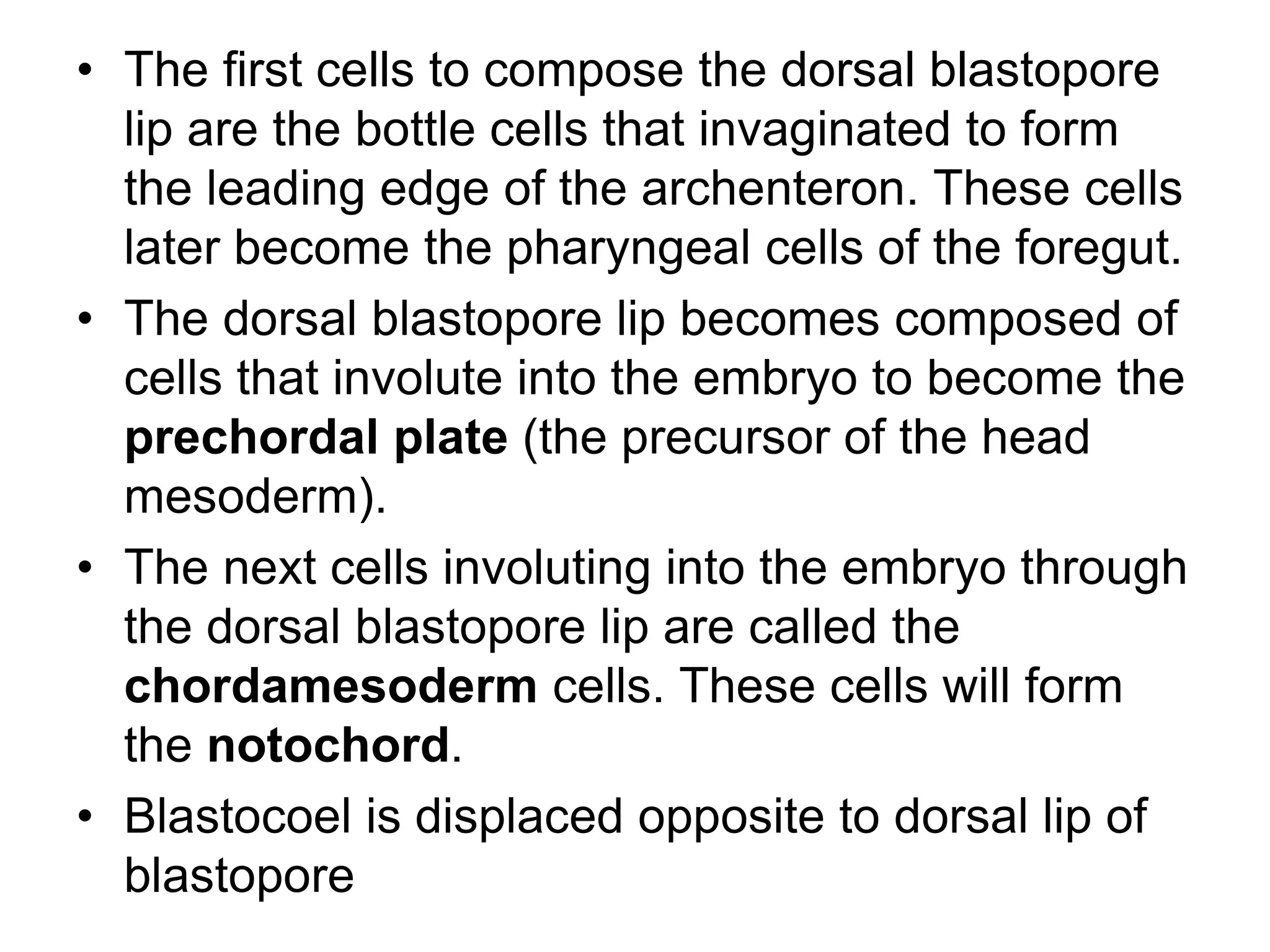 Gastrulation in frog | PPT