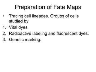 Gastrulation in frog | PPT