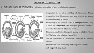 Gastrulation in Frog.pptx