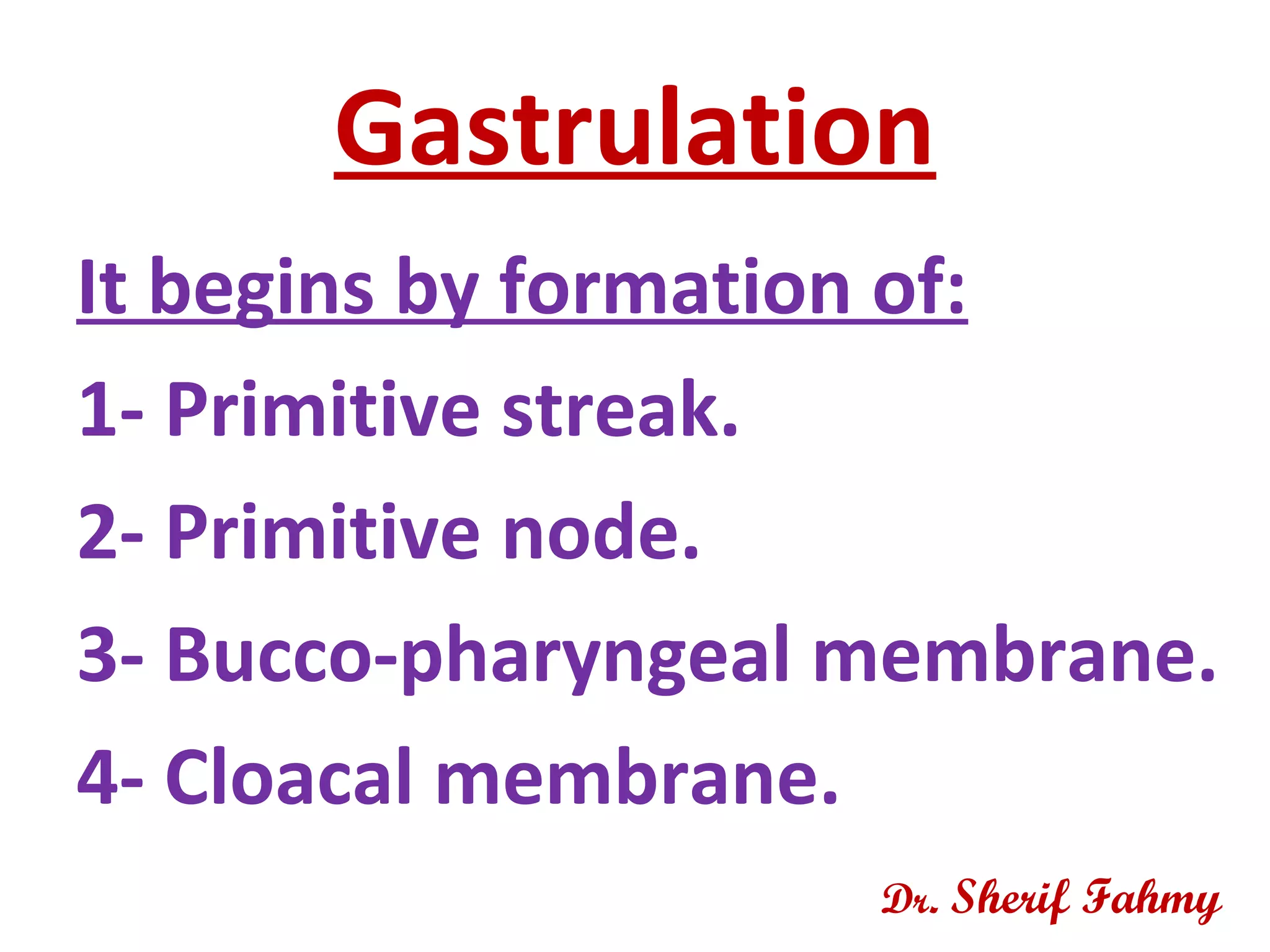 Gastrulation & Notochord (General Embryology) | PPS