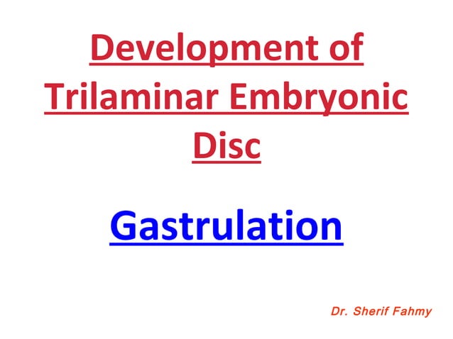 Gastrulation & Notochord (General Embryology) | PPS