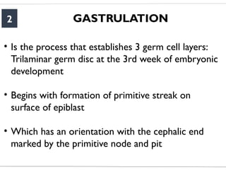 GASTRULATION, NOTOCHORD AND NEURULATION.pptx