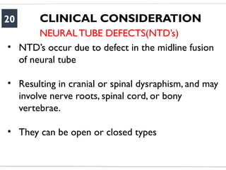 GASTRULATION, NOTOCHORD AND NEURULATION.pptx