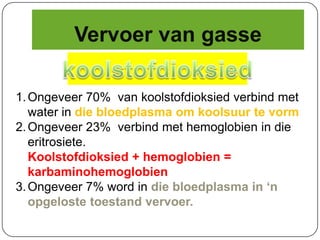 Gaswisseling les 2 | PPTX