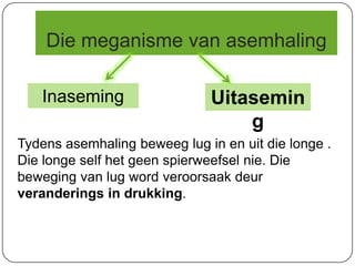 Gaswisseling les 2 | PPTX