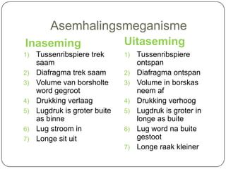 Gaswisseling les 2 | PPTX