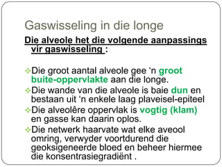 Gaswisseling les 2 | PPTX