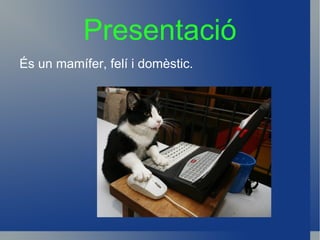 El Gat | PPT