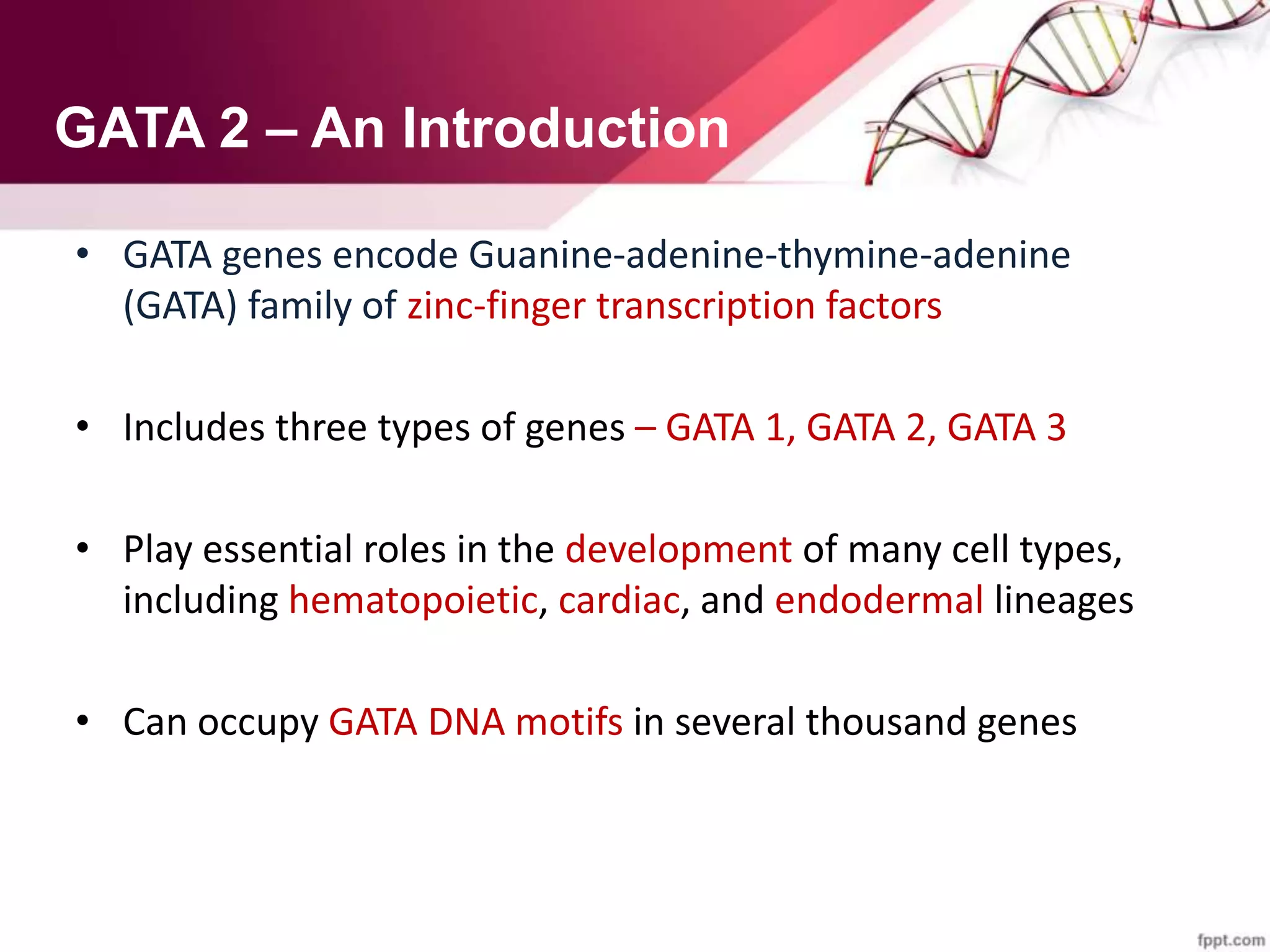 Introduction to GATA2 gene | PPT