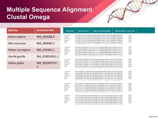 Introduction to GATA2 gene | PPT