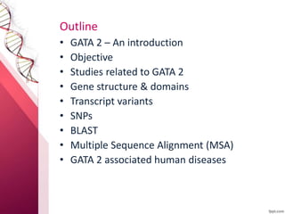 Introduction to GATA2 gene | PPT