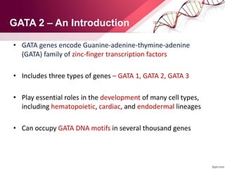 Introduction to GATA2 gene | PPT