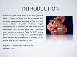 GATA 6 Mutation and Ventricular Septal Deffect (VSD) | PPT